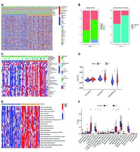 Different Characteristics Between Two Subtypes A The Heatmap Of Download Scientific Diagram