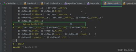 Cmake Ibmtpm1682编译cmakersp Csdn博客