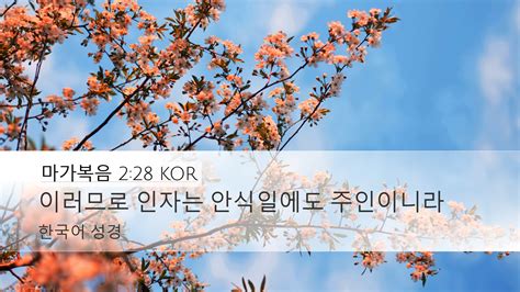 마가복음 228 Kor Desktop Wallpaper 이러므로 인자는 안식일에도