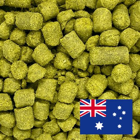 Galaxy® Au Hopkorrel 1 Kg Hop Pellets Hobbybrouwshopnl