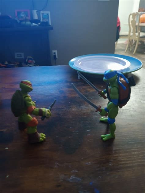 Who Wins Mikey Or Leo R Tmntmemes