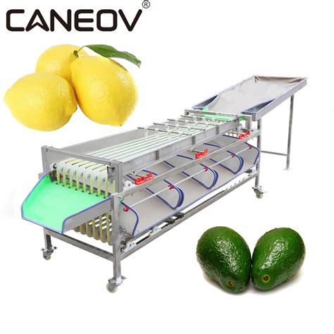 Factory Direct Sales Track Grading Machine Cherry Tomato Size Diameter