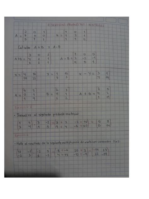 ejer cici os matrices pdf
