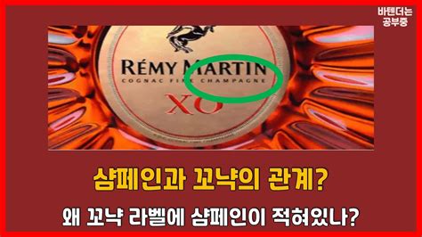 꼬냑 라벨에 샴페인이 적혀있는 이유 Youtube