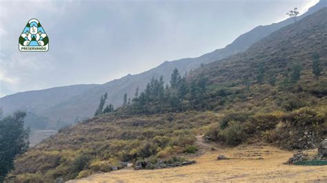 Reforestación 26 Y 27 De Octubre Blog Preservando