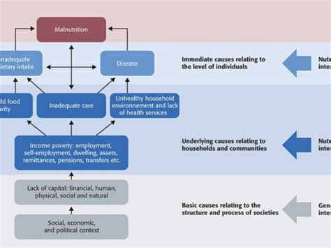 Relationship Between Nutrition Specific And Nutrition Sensitive