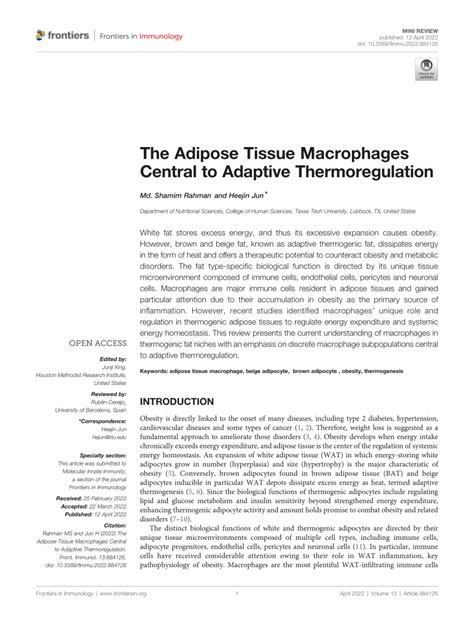 PDF The Adipose Tissue Macrophages Central To Adaptive Thermoregulation