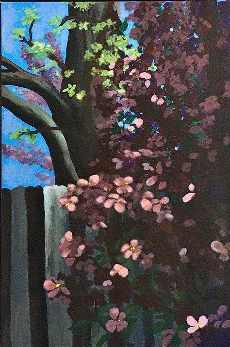 My Backyard Trees Gallery Jupiter