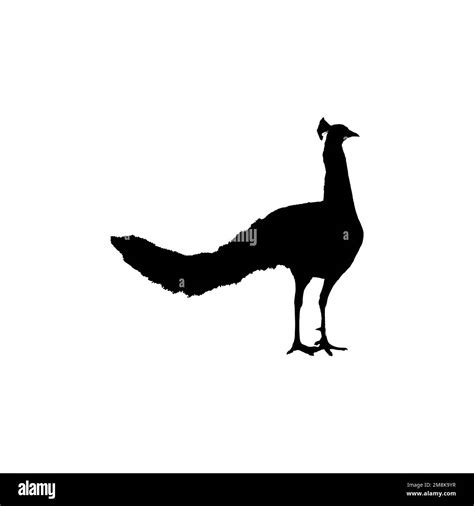 Peacock Icon Simple Style Tropical Travel Big Sale Poster Background Symbol Peacock Brand Logo