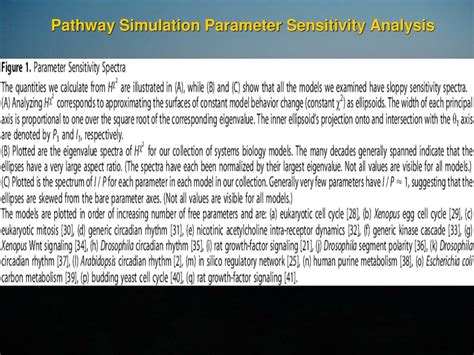 Ppt Content Example Of Pathway Simulation Work And Map Pathway Simulation Model And Equations