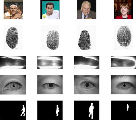 Federated Learning For Biometric Recognition A Survey Bohrium