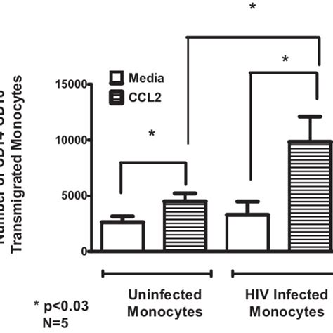 Monocyte Transmigration Across The Bbb Monocyte Transmigration Is A Download Scientific