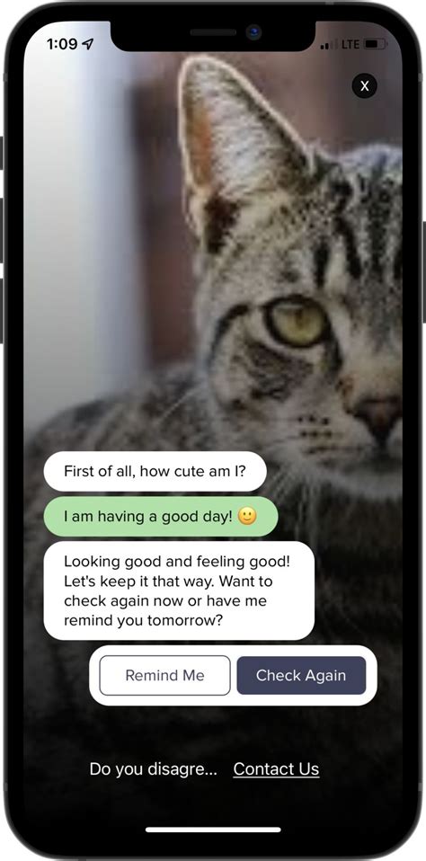 Catvets Catcare Jane Brunt