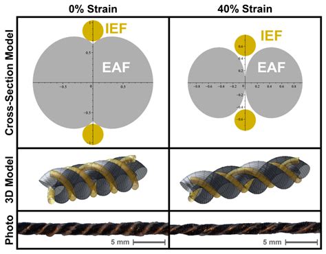Hacs4x Four Ply Helical Auxetic Capacitive Sensors For Strain Sensing