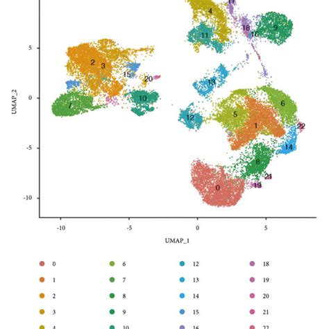 Cell Clustering And Trajectory Analysis Based On The Scrna Seq Data