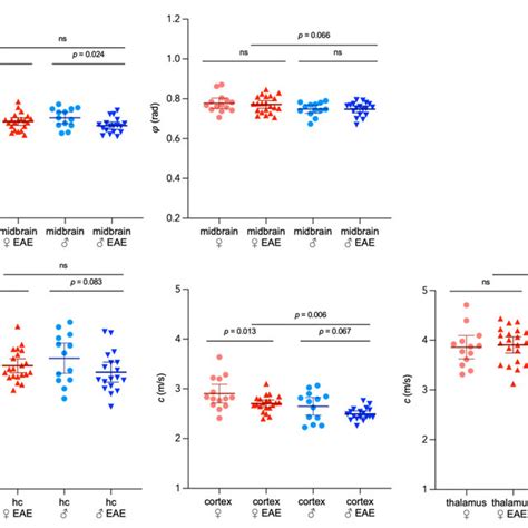 Sex Specific Viscoelastic Properties Of The Mouse Brain In Healthy