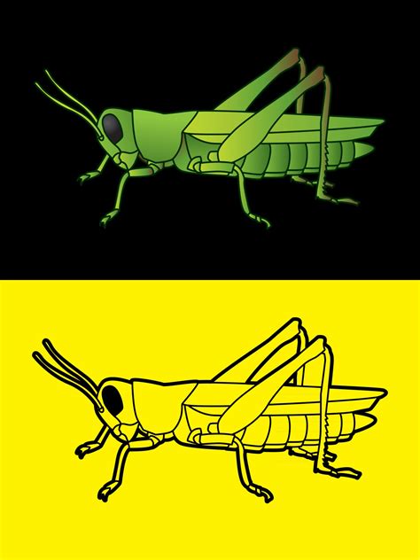Grasshopper Side View 2418899 Vector Art At Vecteezy