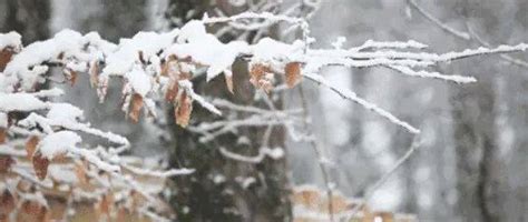 【1024·天气】小到中雪→大雪！降温8℃！刚发布：河北春节天气→地区大年其他