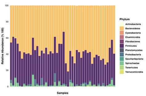 Data Analysis MicrobiomeR