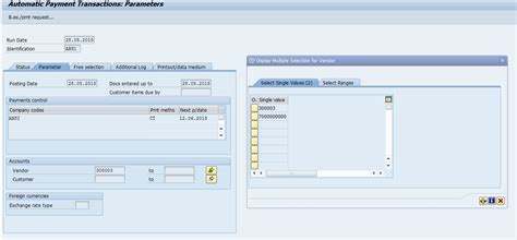 Cash Discount Invoices Payment Through Automatic P Sap Community