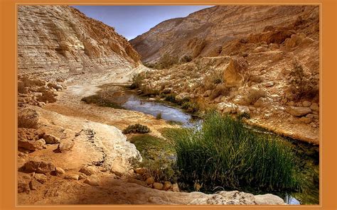 Desert Stream Wallpaper 1440x900 8310
