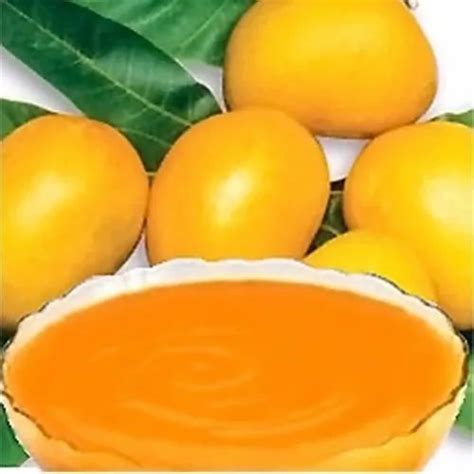 Alphonso Mango Pulp At Best Price In Mumbai By Allanasons Private