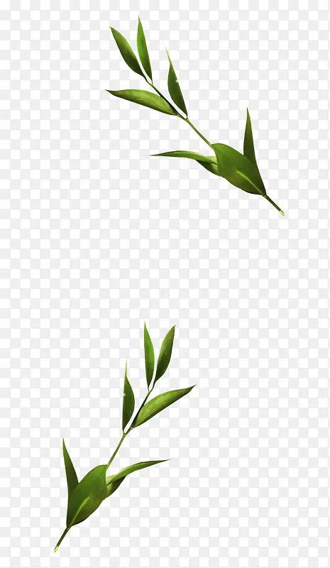 Png Png