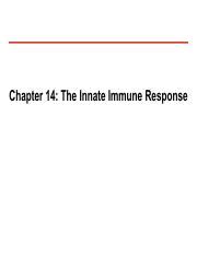 The Innate Immune Response Overview Physical Barriers And Course Hero