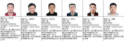 四川省巴中市恩阳区人民法院公告澎湃号·政务澎湃新闻 The Paper