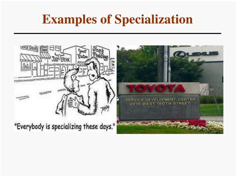 Specialization History Examples At Nancy Milne Blog