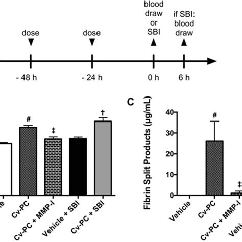 Cv Pc Increases Plasma Fibrinogen And Generates Fibrin Split Products