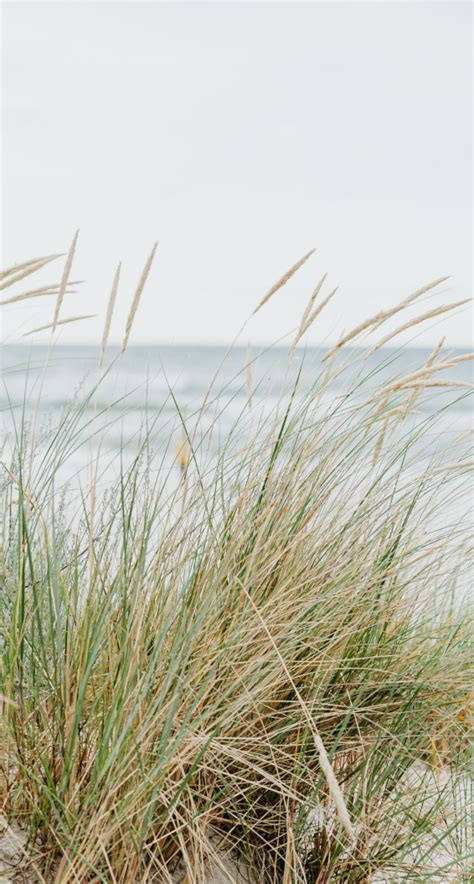 About Lynett Olivier Individual Relationship And Sexuality Counselling