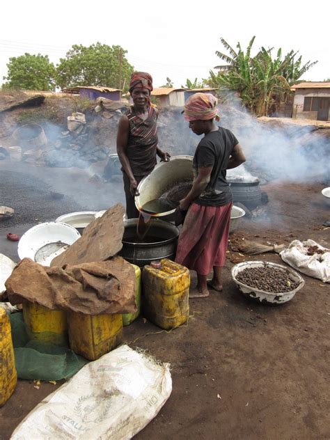 Reeds In The Wind A Palm Kernel Processing Factory