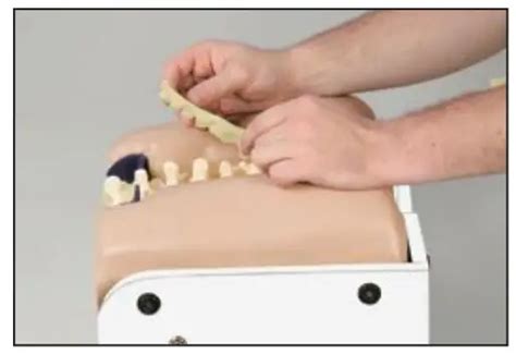 Nasco Lf01036u Spinal Injection Simulator Instruction Manual