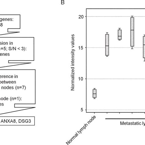 Identification Of Candidate Molecular Markers For Detecting Lymph Node