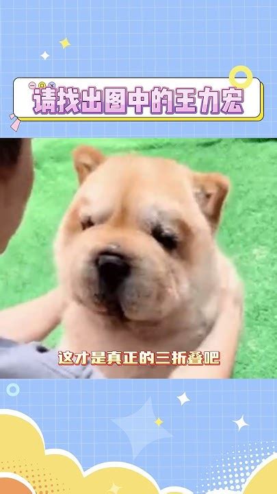 太像了！王力宏李治廷蒲巴甲这三个可以放一块玩消消乐了王力宏 李治廷 蒲巴甲 娱乐 Youtube