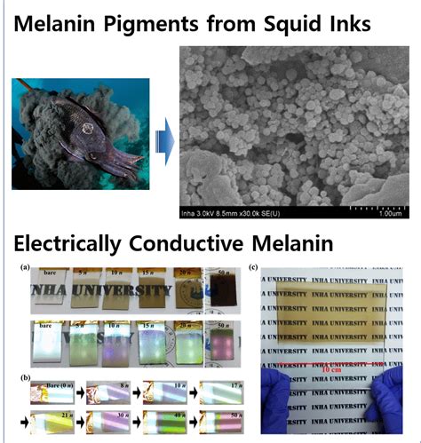 Research Themes Nbml