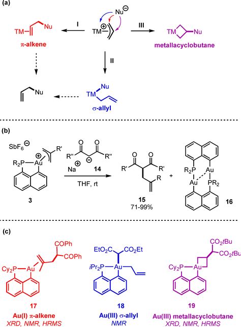 Au Iii π‐allyl Complexes Synthesis Structure Reactivity And