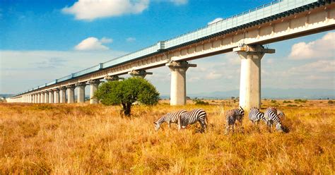 Voyages En Train Dans Le Monde