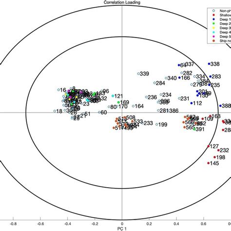 Correlation Loading Plot Download Scientific Diagram