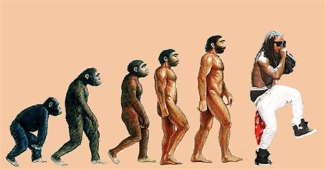 Evolution Imgur