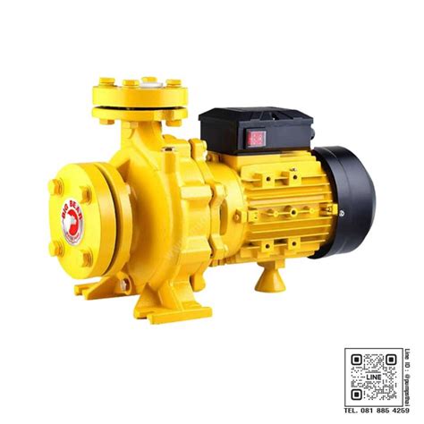 ปั๊มเจ็ท ปั๊มหอยโข่งหน้าแปลน 2 แรง ท่อ 2 นิ้ว Bigbear รุ่น Cp 200c