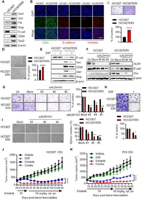 Elevated Emtcsc Properties Of The Resistant Cells Depend On Aldh1a1