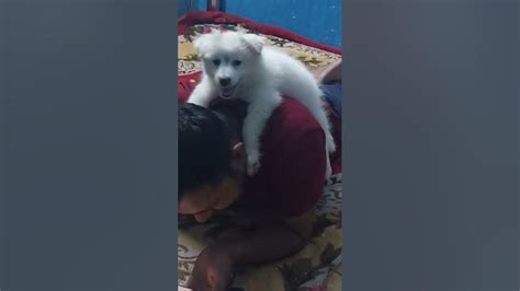 আমার এত ছোট বাচ্চা মরণের সাথে লড়াই করে চলেছে সবাই ওকে আশীর্বাদ করো ও