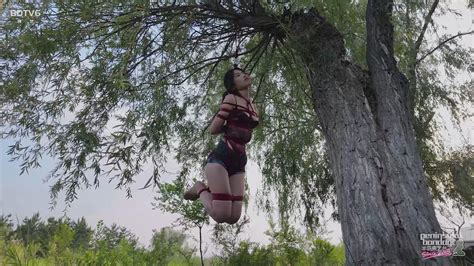Yt2475 Under Willow Trees Chinese Bondage Arts Clips4sale