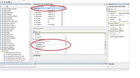 Setting The Field Objectid As An Identity For Auto Esri Community