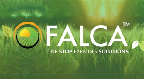 Agritech startup FALCA raises $3 million in funding led by Inflection ...