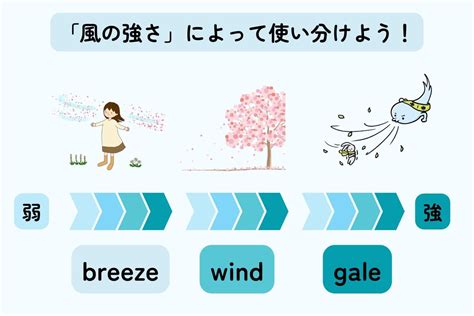 「春一番」は英語でどう表現する？ー風の種類一覧