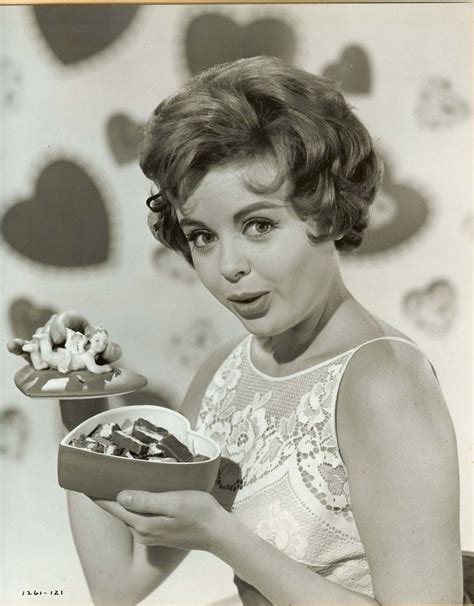 Slice Of Cheesecake Deborah Walley Pictorial