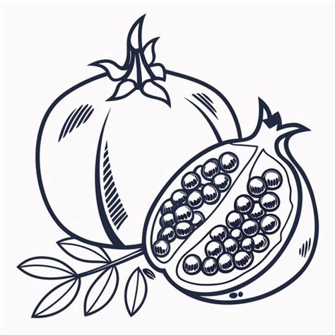 Pomegranate Fruit Line Art Icon Royalty Free Vector Vectorstock